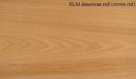 AMERICAN RED ELM WOOD VENEER